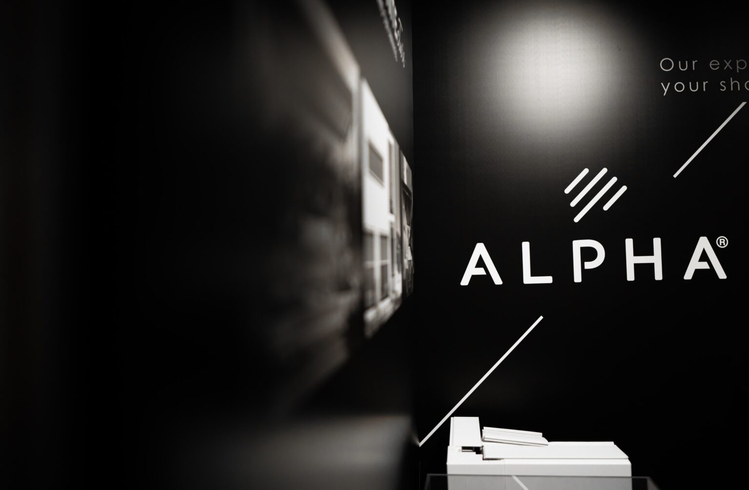 ALPHASHADOW - OUR EXPERIENCE YOUR SHADOW