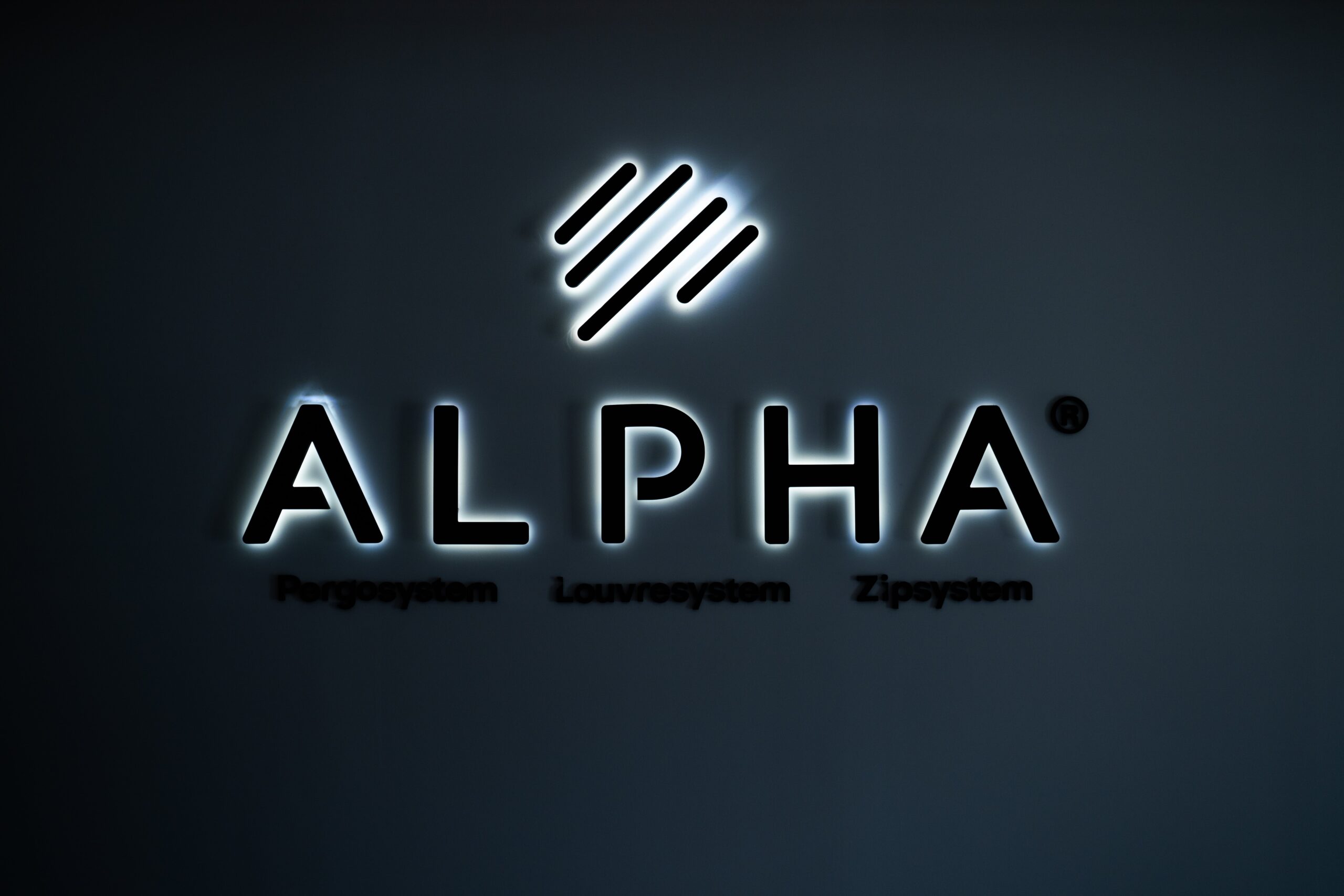 ALPHASHADOW - OUR EXPERIENCE YOUR SHADOW